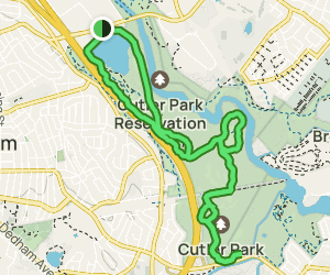 Cutler Park Blue Heron Trail: 938 Reviews, Map - Massachusetts | AllTrails