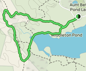 Middleton Pond Loop: 57 Reviews, Map - Massachusetts | AllTrails