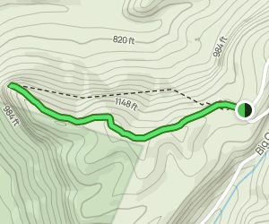 Buzzard Rock Trail: 191 Reviews, Map - Kentucky | AllTrails