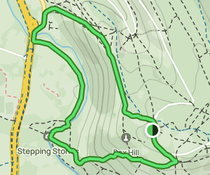 Box Hill Stepping Stones Walk: 683 Reviews, Map - Surrey, England ...