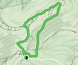 Massie Gap and Wilburn Ridge Loop: 738 Reviews, Map - Virginia | AllTrails
