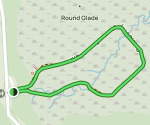 Cranberry Bog Boardwalk: 160 Reviews, Map - West Virginia | AllTrails