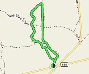 Scrub Jay Trail: 40 Reviews, Map - Florida | AllTrails