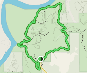 Torreya Trail: 322 Reviews, Map - Florida | AllTrails