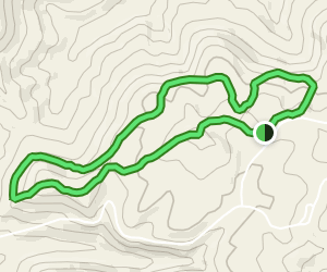 Iron Ore Hill Loop Trail: 335 Reviews, Map - Kentucky | AllTrails