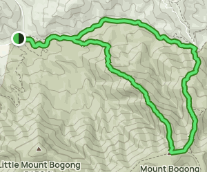 Mount Bogong Loop via Staircase Spur and Eskdale Spur Trail: 269 ...