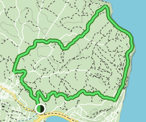 Palus - Sémaphore de Leucate - La Plagette: 186 foto's - Aude ...