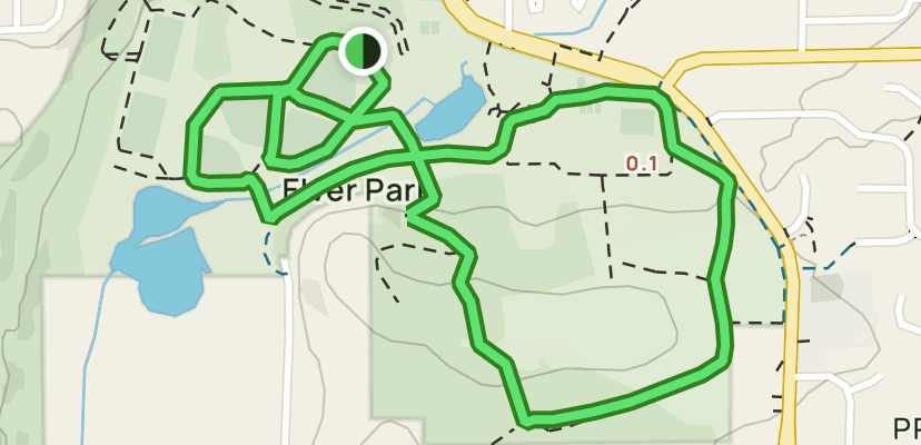 Are Dogs Allowed At Elver Park