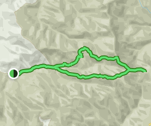 Mount Howitt and Macalister Springs Circuit: 15 Reviews, Map - Victoria ...
