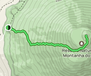 AllTrails | Pico Trail (Azores): 291 Reviews, Map - Azores, Portugal