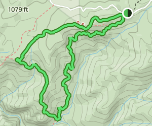 Mc Elwain Lookout, Quarry, Forbes, and Centennial Tracks Loop: 1 ...