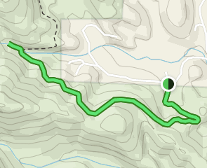 Walden Creek Waterfall Trail, Georgia - 87 Reviews, Map | AllTrails