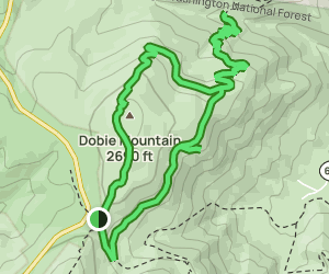 Dobie Mountain via Appalachian Trail: 989 foto's - Virginia | AllTrails