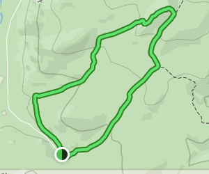 Mount Carleton Summit Trail: 247 Reviews, Map - New Brunswick, Canada ...