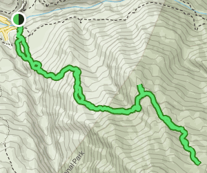 Bunbuni Pass Hike: 11 Reviews, Map - Himachal Pradesh, India | AllTrails