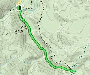 Palm Canyon Trail: 1026 Reviews, Map - California | AllTrails