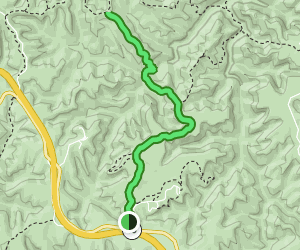 Buck Trail Via Koomer Ridge Trail: 128 Reviews, Map - Kentucky | AllTrails