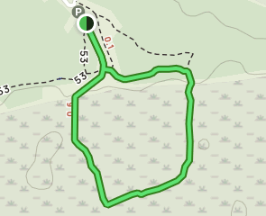 Mer Bleue Bog Trail, Ontario, Canada - 367 Reviews, Map | AllTrails