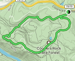Coopers Rock Loop, West Virginia - 390 Reviews, Map | AllTrails