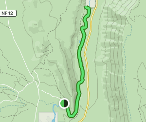 West Metolius River Trail: 478 Reviews, Map - Oregon | AllTrails
