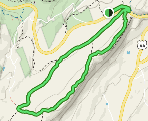 Millbrook Ridge, Coxing and Trapps Trail Loop, New York - 347 Reviews ...