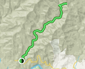 Noland Creek Trail, North Carolina - 127 Reviews, Map | AllTrails
