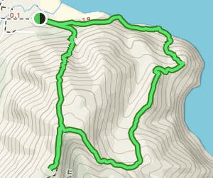 Pauanui Summit Trail: 62 Reviews, Map - Waikato, New Zealand | AllTrails