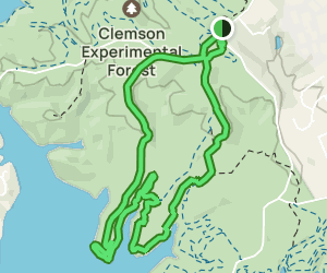 Logging Road and Triple Creek Loop: 206 foto's - South Carolina | AllTrails