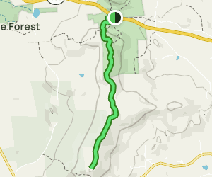 Holt Peak and Burton Peak via Wapack Trail: 834 foto's - New Hampshire ...