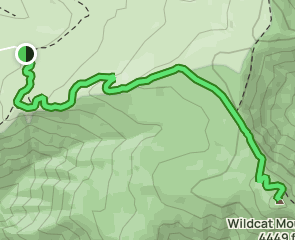 Wildcat Mountain Trail #781F via Douglas Trail #781, Oregon - 216 ...