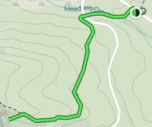 Sahalie Falls Trail: 163 Reviews, Map - Oregon | AllTrails