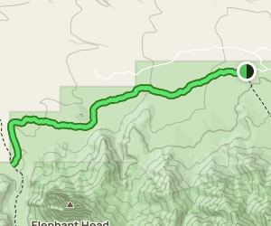 Elephant Head Mountain Bike Trail: 48 foto's - Arizona | AllTrails