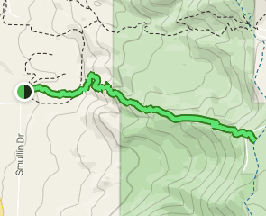 Oak Ridge Trail, Oregon - 243 Reviews, Map | AllTrails