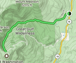 Great Gulf Trail: 123 Reviews, Map - New Hampshire | AllTrails