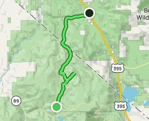 Leviathan Mine OHV Road, California - 35 Reviews, Map | AllTrails