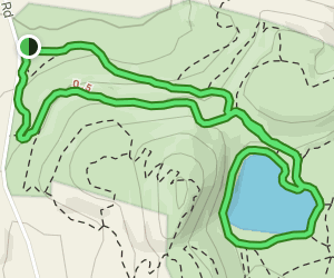 The Pogue Loop from Prosper Road: 184 Reviews, Map - Vermont | AllTrails