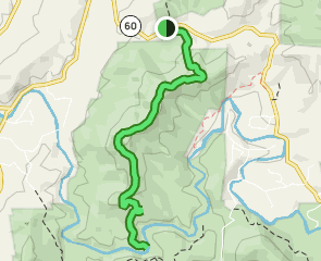 Benton MacKaye Duncan Ridge Trail: Morganton Highway to Toccoa River ...