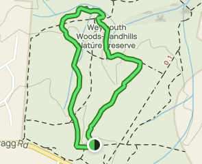 Pine Barren and Gum Swamp Loop, North Carolina - 83 Reviews, Map ...