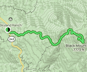 Black Mountain Trail: 422 Reviews, Map - California | AllTrails