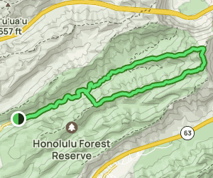 Moanalua Valley and Tripler Ridge Trail Loop: 195 Reviews, Map - Oahu ...