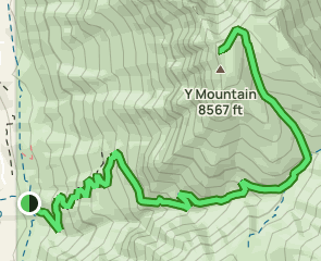 The "Y" Mountain Trail, Utah - 1,121 Reviews, Map | AllTrails