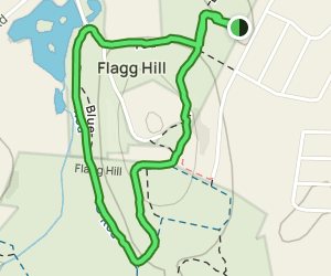 AllTrails | Flagg Hill Green and Red Loop: 46 Reviews, Map - Massachusetts