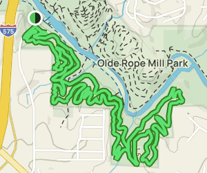 Avalanche Trail Loop: 1015 Reviews, Map - Georgia | AllTrails
