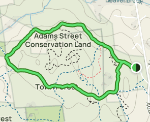 New Trail and Holliston Highway Loop, Massachusetts - 162 Reviews, Map ...