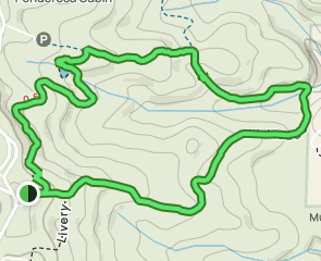 Elk Meadow Loop, Colorado - 341 Reviews, Map | AllTrails