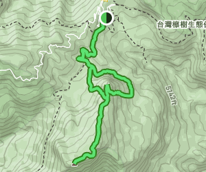 Lushan Mountain Trail: 55 foto's - Miaoli, Taiwan | AllTrails