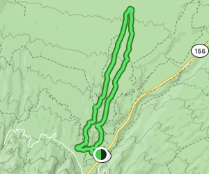 Pinyon Pine Trail: 98 Reviews, Map - Nevada | AllTrails