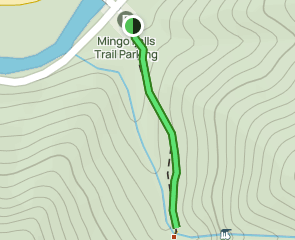 Mingo Falls Trail: 1,517 Reviews, Map - North Carolina | AllTrails