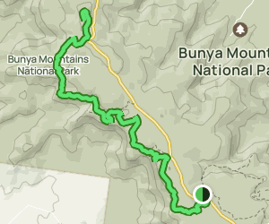 Bunya Mountains and Mount Kiangarow Lookout: 33 Reviews, Map ...