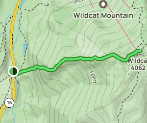 Wildcat D via Wildcat Ridge Trail: 211 Reviews, Map - New Hampshire ...